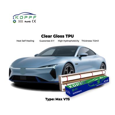 Cina Prezzo all'ingrosso di fabbrica Pellicola protettiva per carrozzeria trasparente trasparente per auto in vendita