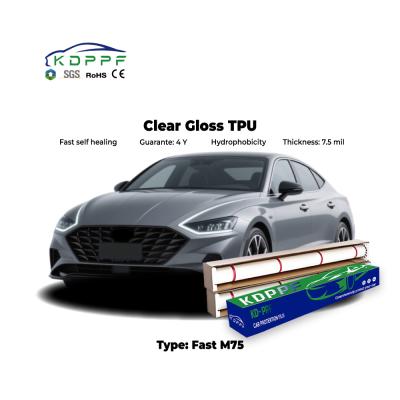 Cina Film trasparente anti graffi autoadesivo trasparente Ppf pellicola di protezione della vernice TPU pellicola in vendita