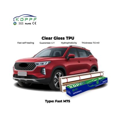 Cina Prodotto di fabbrica Diretto trasparente Tpu Ppf pellicola di protezione della vernice per auto in vendita