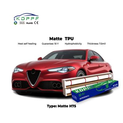 Cina Pellicola protettiva per vernice opaca in TPU ultra trasparente, non ingiallente in vendita