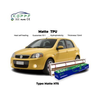 Cina 7.5 mil Film di protezione della vernice opaca trasparente trasparente resistente agli graffi in vendita