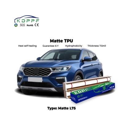 Cina Anti graffi facile installazione TPU trasparente PPF Film 1.52 * 15m Matte Paint Protective Film in vendita