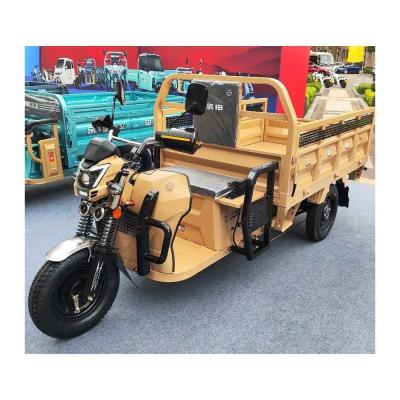 China Customized Adult Trike 3-Wheels Motorized Cargo Tricycle for Heavy Duty Transport à venda