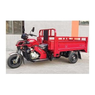 Cina 3 Wheel Petrol Engine Tricycle with Sidecar in Pakistan Easy to Operate and Maintain in vendita