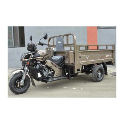 Cina 3 Wheel Petrol Engine Tricycle with Sidecar in Pakistan Easy to Operate and Maintain in vendita
