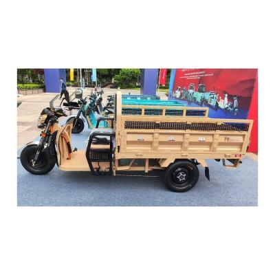 Cina Front 3.00-12 / Rear 3.50-12 Tires Heavy Duty Load Cargo Truck Tricycle for Tunisia in vendita