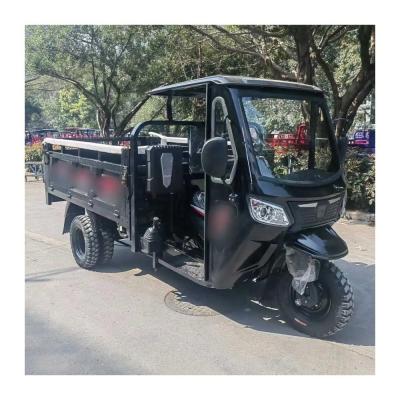 中国 Maximum Speed 50-70Km/h Automatic Gasoline Powered 3 Wheel Trike Motorcycle for Adult 販売のため