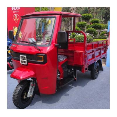 China Maximum Speed 50-70Km/h Three Wheel 250cc Petrol Engine Powered Motor Cargo Tricycle à venda