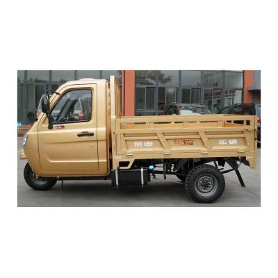 Cina 400kg Payload Capacity 3-Wheel Enclosed Cabin Cargo Truck Tricycle with Petrol Engine in vendita