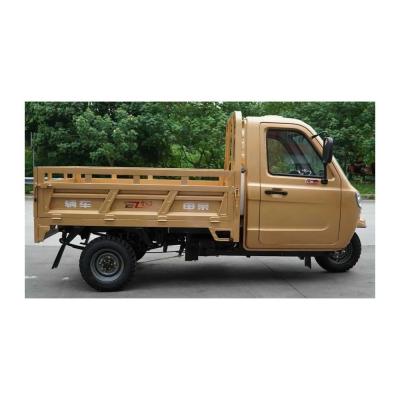 China Sale 250cc Close Body Motorized Gasoline 3 Wheel Motorcycle for Adult Cargo Tricycle à venda