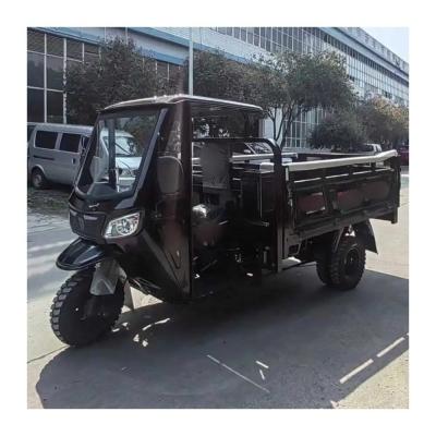 China Velocidade máxima Motor a gasolina Cargo Triciclo motorizado para adultos à venda