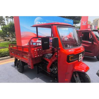 Cina Benzina 3 ruote Dump Truck Nigeria Cargo Triciclo 400-500kg Peso di controllo in vendita