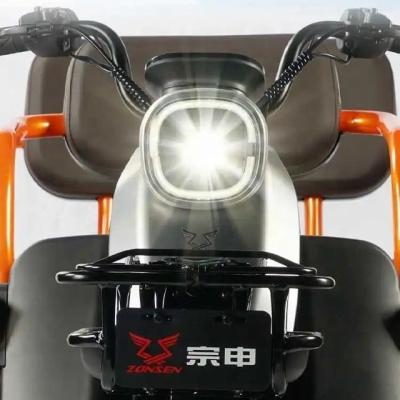 Cina 48V triciclo elettrico per anziani chilometraggio ≥90km Voltaggio 48V Tuktuk in Israele in vendita