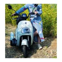 Quality Open Body Type 48V 500W Electric 3Wheel Motorcycles Tricycle Tuk Tuk E-Trikes in for sale