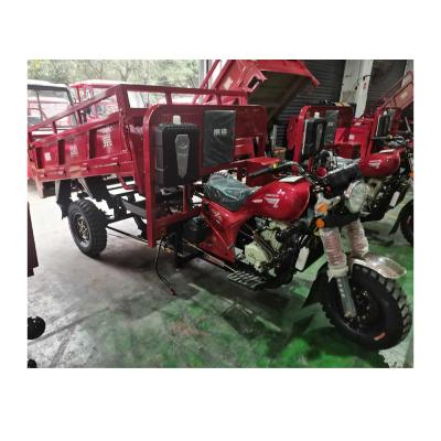 Cina Fabbricazione Zonsen Triciclo a motore a benzina con motore MXZS1B12 in vendita