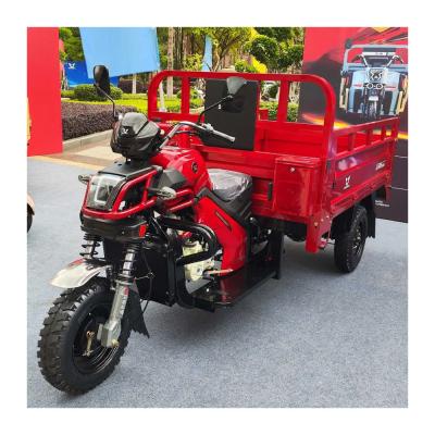 Cina Motorized Three Wheel Gasoline Motorcycle Tricycle Car for Adults in vendita