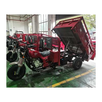 China 25° Grade Ability 3 Wheel Tricycle with Powerful 250cc Water-Cooled Jinqing EFI Engine à venda