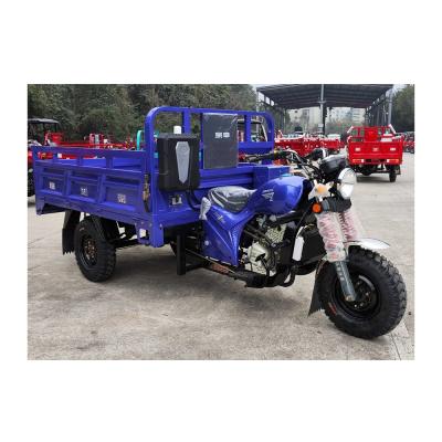Cina 3500*1440*1450mm Triciclo motorizzato con motore da 250cc e velocità massima di 50-70Km/h in vendita