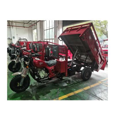 Cina 250cc Jinqing EFI Motor Cargo Tricycle raffreddato ad acqua per le esigenze di consegna del carico in vendita