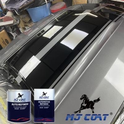 Cina Mildew Resistant Acrylic Auto Primer - Matte Sheen Finish in vendita