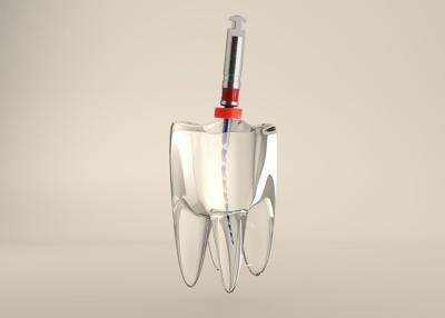 Cina Archivi del bambino di 6% e di 4% Niti 17/19mm per il trattamento Endodontic del principale canale dei bambini in vendita