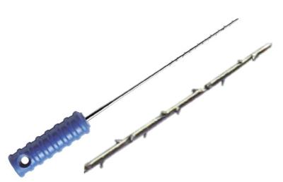 Cina Archivi endi di endodontica degli spiedi pungenti dentari d'acciaio del nervo di Stainles in vendita