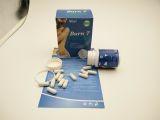 China Nature Herbal OEM Private Lables Slimming Product Burn 7 for sale