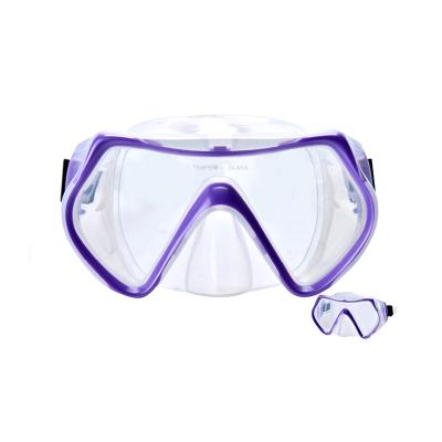 China Adult Snorkeling Waterproof Swimming Goggles Full Dry 180 Degree for sale