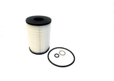 Cina Filtro dell'aria interno dell'automobile/filtro dell'aria cabina del veicolo per BMW F01 F02 F10 X5 X6 550i 650i 750i in vendita