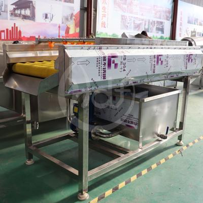 China Brush Type Industrial Vegetable Washer , Carrot  / Apple Washing Machine 500-2000kg/H Output for sale