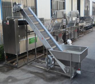 China Linha de processamento lavada capacidade personalizada multi função das frutas e legumes à venda