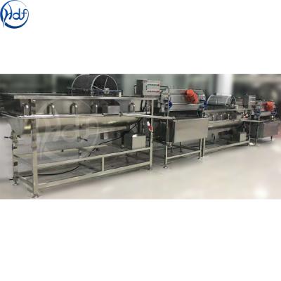 Cina Linea di trasformazione materiale della frutta SS304 e della verdura con Turbocharging in vendita