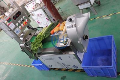 中国 多機能の野菜打抜き機1000KG/Hの商業野菜打抜き機 販売のため