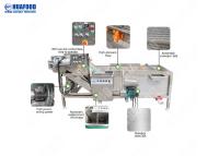 China Fruit And Vegetable Processing Line High Efficiency Dried Fruit Processing Equipment for sale