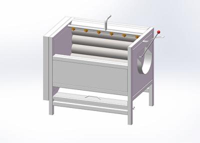 China 1000kg/h Food Factory Conveyor Belt Cleaning Brush Washing Machine for sale