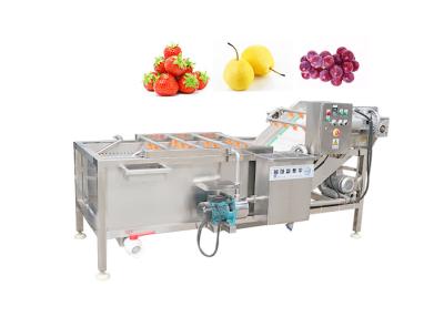 China joint végétal d'acier inoxydable du SUS 304 de machine à laver de bulle d'air de chou des tomates 500kg/H for sale