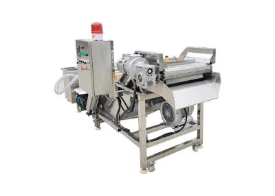 Cina Attrezzatura lavante di verdure della bolla di aria 3.75KW 500kg/h in vendita