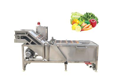 China 水はフルーツのプラム0.5Ton/h野菜洗濯機をリサイクルする for sale