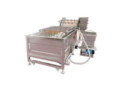 China Machine de nettoyage d'écoulement d'eau de prix usine d'air de bulle de carotte végétale à haute pression de tomate for sale