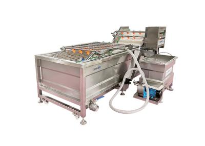 China Machine à laver végétale du SUS 304 de champignons de poivrons for sale