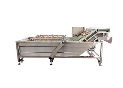 Cina Water Circulation 500kg/H SS304 Fruit Washing Machine in vendita