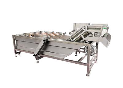 Cina Lavatrice della bolla di aria di 1300MM SUS304 500KG/H in vendita