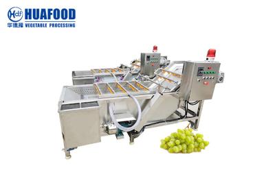 China acier inoxydable du SUS 304 de machine de lavage et de séchage du raisin 500kg/h for sale
