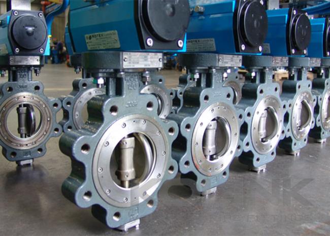 High Performance Butterfly Valve - Side View
