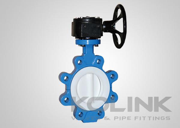 2pc PTFE Seated Butterfly Valve Concentric, Wafer Lugged Flanged Ductile Iron