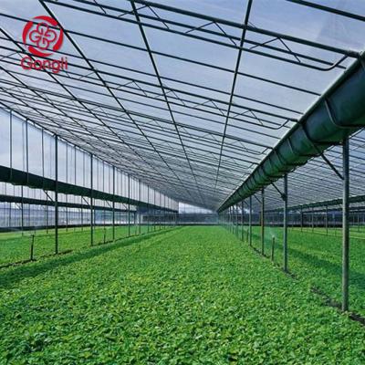 Cina Lamiera ondulata di Sheetg del tetto della fibra di 1.2mm FRP per il lucernario in vendita