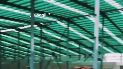 Cina Corrugated  colorful Fibreglass FRP Transparent  Roofing Sheets in vendita