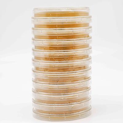 China Microbial Culture Prepared Tryptic Soy Agar TSA Ready To Use Sterile Agar Plates for sale