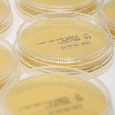 China Sterile Ready-to-use Lecithin Tween 80 Tryptic Soy Agar (TSAWLP) Prepared Agar Plates with GMP-oriented Quality for sale