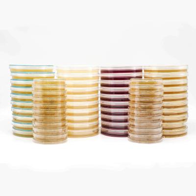 China Potato Dextrose Agar PDA Prepared Agar Plates For Microbiological Quality Control for sale